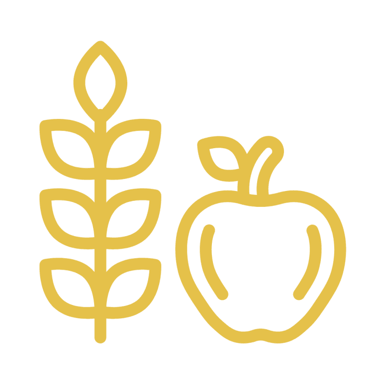 Raw Unsalted Cheese For Sale Online | Free Shipping