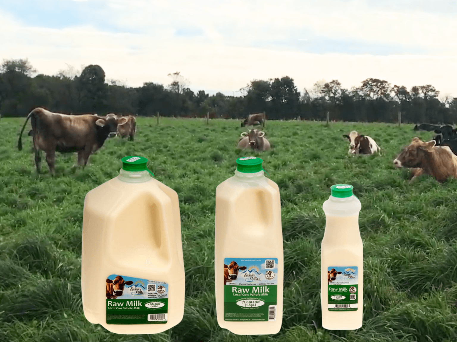 Grass-Fed Milk For Sale Online From Small PA Farms